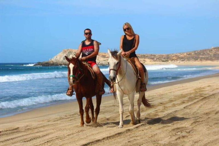 Cabo San Lucas: Desert and Beach RZR and Horseback Riding - What’s Included and What to Keep in Mind