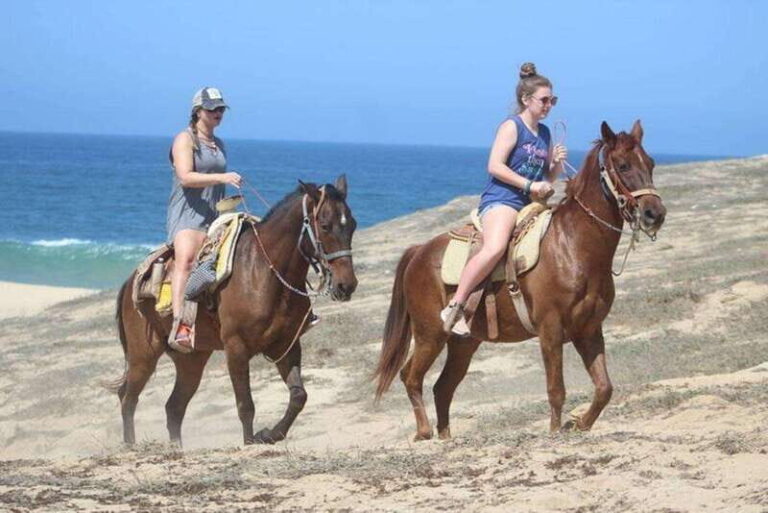 Cabo San Lucas: Desert ATV & Beach Horseback Combo - Who Will Love This Tour?