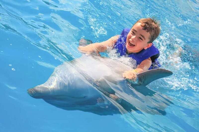 Cabo San Lucas: Dolphin Swim Class with Marine Specialist - Why This Tour Offers Great Value