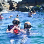 Cabo San Lucas: Guided Snorkeling Tour with Transportation - Practical Tips for the Tour