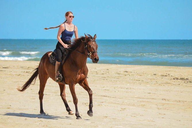 Cabo San Lucas Horseback Ride on Beach and Desert - What Reviewers Have Said