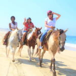 Cabo San Lucas: Horseback Riding Corredor Turistico - What to Expect During the Ride