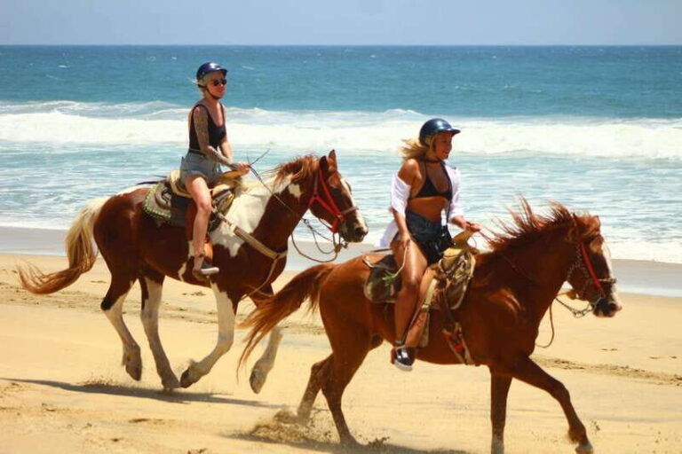 Cabo San Lucas: Horseback Riding in Migriño with Transfers - Welcome and Safety Briefing