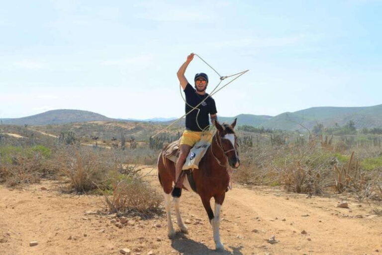 Cabo San Lucas: Horseback Riding On The Beach - The Practical Side: Logistics and Value