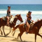 Cabo San Lucas: Horseback Riding on the Beach Experience - Scenic Highlights and Trail Details
