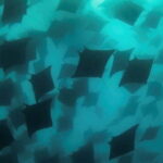 Cabo San Lucas: Marine Reserve Dive - Who Is This Tour Best For?