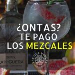 Cabo San Lucas Mezcal Tasting and Cocktail Class - The Sum Up