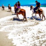 Cabo San Lucas: Migriño Horseback Riding and Tequila Tour - The Practicalities