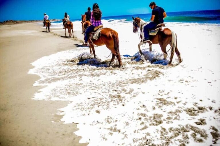 Cabo San Lucas: Migriño Horseback Riding and Tequila Tour - The Practicalities