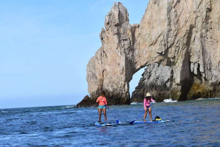 Cabo san Lucas: Paddle Boarding or Kayak and Snorkeling - What to Expect and Practical Tips