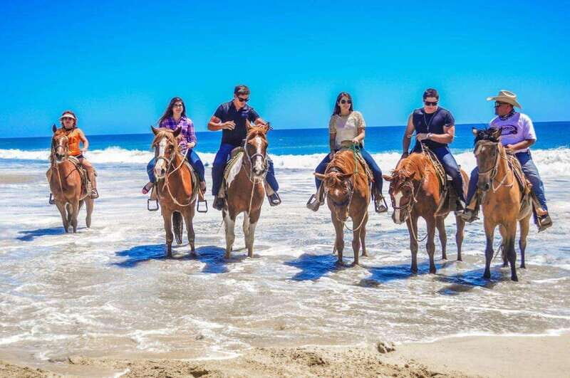 Cabo San Lucas: Scenic Horseback Ride Along the Corridor - Value and Pricing Analysis