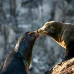 Cabo San Lucas: Sunset Cruise - Who Will Love This Experience?