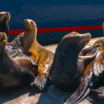 Cabo San Lucas: Tour paseo al Arco + bajada en playa - The Itinerary in Detail