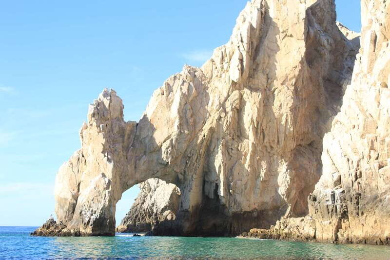 Cabo San Lucas: Up-Close Whale Watching Small-Group Tour - Who Should Consider This Tour?