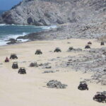 Cabo San Lucas: UTV Razor Fun with Desert, Beach, & Tequila - How It Feels to Ride Baja’s Terrain