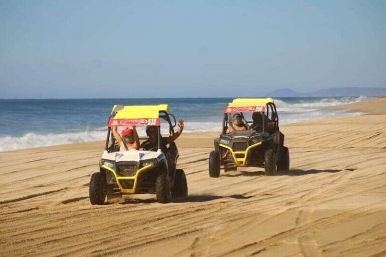 Cabo San Lucas: UTV Razor Tour of Migriño Desert and Beach - The Vehicles and Trail Experience