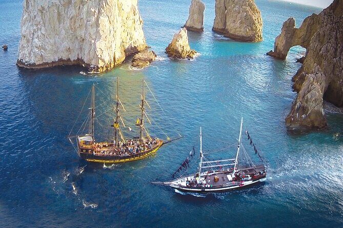 Cabo San Lucas Whale Watching Tour All Included - Practical Details: Transportation, Timing, and Group Size