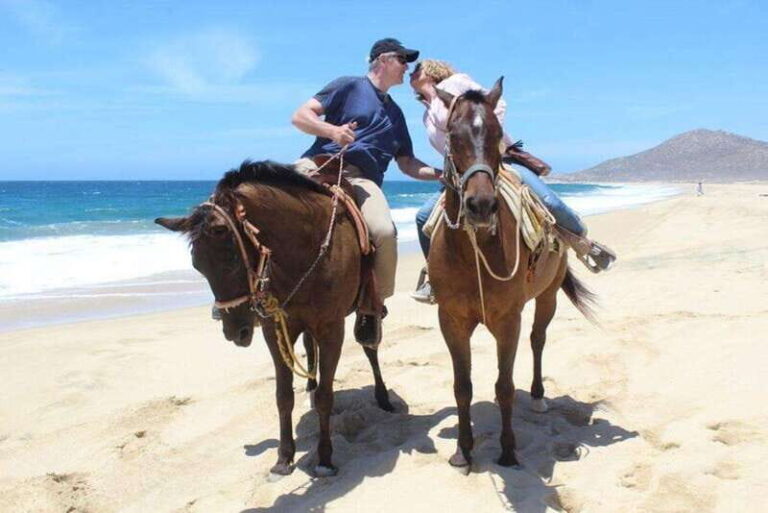 Cabo San Lucas: White Sand Horseback Adventure - Transportation, Duration, and Group Size