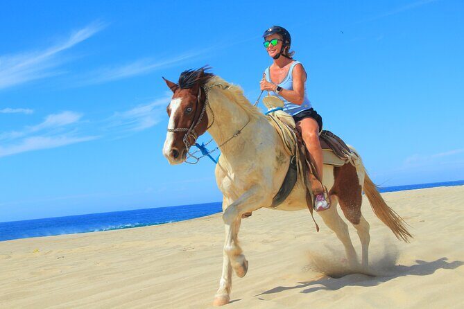 Cabo Shore Excursion: Beach Horseback Ride & Tequila Tasting - Who Is This Tour Best Suited For?