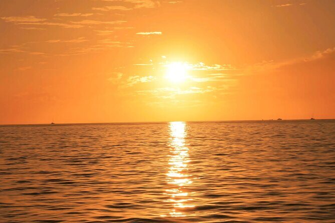 Cabo Sunset Catamaran Cruise: El Arco & Open Bar Experience - What’s Not Included and Extra Costs