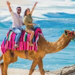 Cabo Tour Mexico Camel and Horseback Ride with ATV Adventure - Who Would Love This Tour?