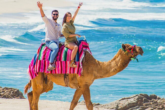 Cabo Tour Mexico Camel and Horseback Ride with ATV Adventure - Who Would Love This Tour?