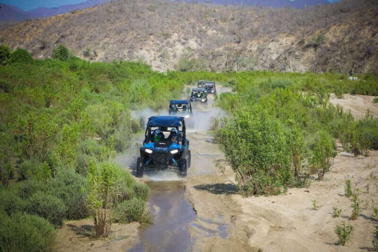 Cabo: UTV Off-Roading, Mexican Lunch, and Tequila - FAQ