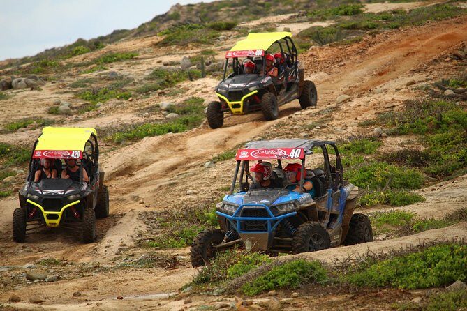 Cabo Wild Desert Tour, Polaris ATV or Razor Single, Double, Triple or Quad! - Authentic Insights from Reviews