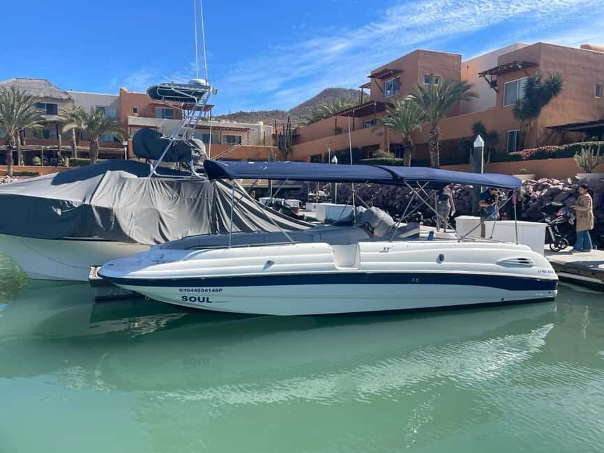 Cabo Yacht Tour to Lovers or Pelícano Beach + Beach Time - Who Will Love This Tour?