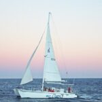 Cabo's Premier Catamaran Snorkeling: Explore the Waters! - What Travelers Are Saying