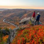 Cabot Trail Bus Tour for Cruise Excursion - Practical Details and Tips