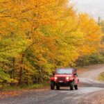 Cabot Trail Jeep Adventure - Cruise Excursion - What Do the Reviews Say?