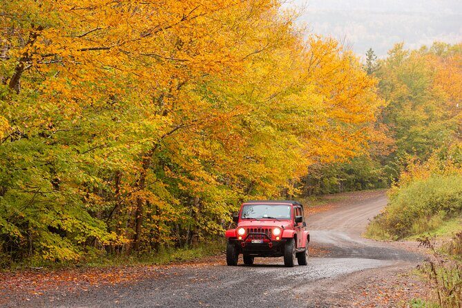 Cabot Trail Jeep Adventure - Cruise Excursion - What Do the Reviews Say?