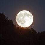 Cacao ceremony on the beach of Holbox - Final Thoughts