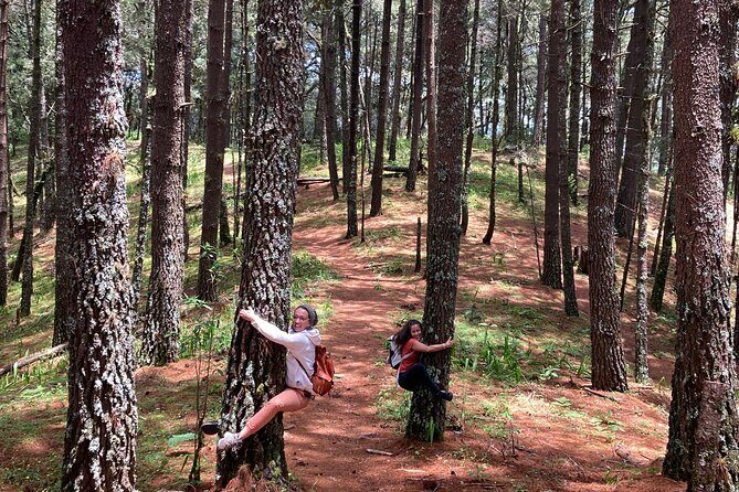 Cacao day experience from the wood to your cup! - Frequently Asked Questions (FAQ)