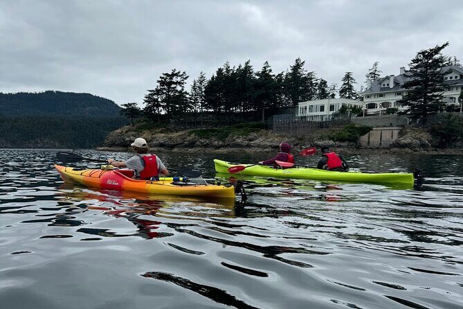 Cafes and Kayaks: Full Day Kayaking Adventure on Orcas Island - Real Review Insights