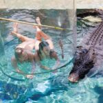 "Cage Of Death" Crocodile Swim and Entry to Crocosaurus Cove - Practical Details and Why They Matter