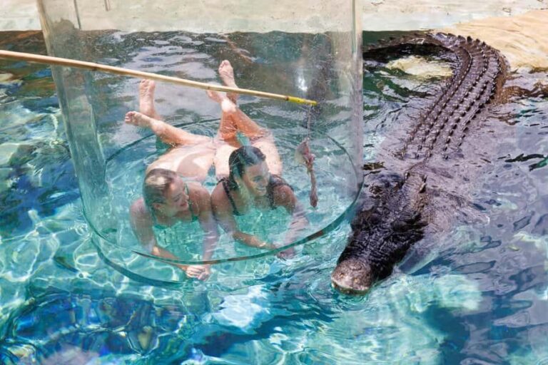 "Cage Of Death" Crocodile Swim and Entry to Crocosaurus Cove - Practical Details and Why They Matter