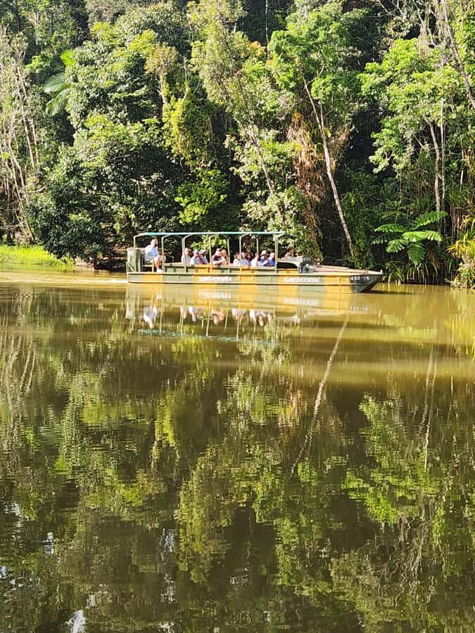 Cairns: 3 days - Daintree, Kuranda, Reef, Accommodation - Who Will Love This Tour?