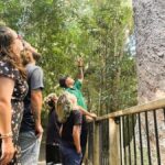 Cairns: Aboriginal Cultural Discovery Tour - The Practicalities: What to Know Before Booking