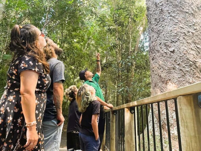Cairns: Aboriginal Cultural Discovery Tour - The Practicalities: What to Know Before Booking