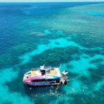 Cairns: All-Inclusive Great Barrier Reef Half-Day Snorkeling - Why This Tour Stands Out