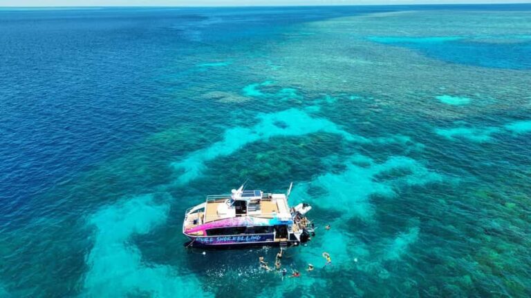 Cairns: All-Inclusive Great Barrier Reef Half-Day Snorkeling - Why This Tour Stands Out