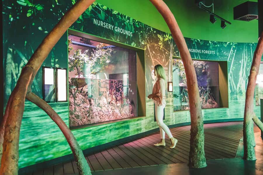 Cairns: Aquarium and Tomb of the Pharaohs Entry Ticket - Stepping into Ancient Egypt at the Tomb of the Pharaohs