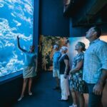 Cairns Aquarium by Twilight Tour - What Is the Cairns Aquarium by Twilight Tour?