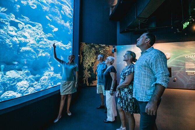 Cairns Aquarium by Twilight Tour - What Is the Cairns Aquarium by Twilight Tour?