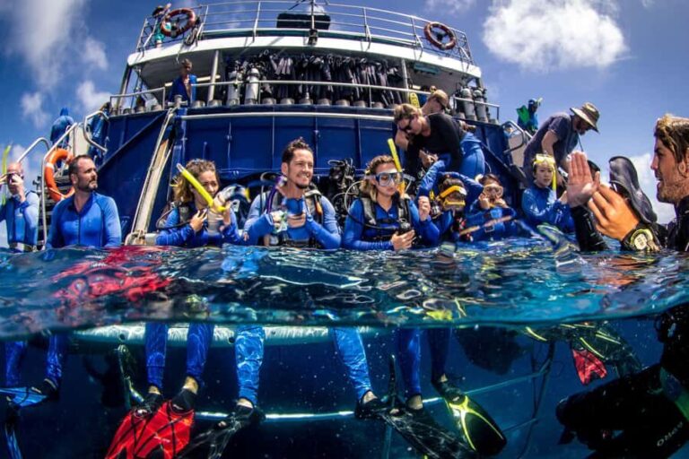 Cairns: Best Value All-inclusive Reef Trip With Scuba Dive - An In-Depth Look at the Reef Experience Tour