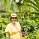 Cairns: Cairns City Sights & Surrounds Half Day Tour - Final Thoughts: Is This Tour for You?