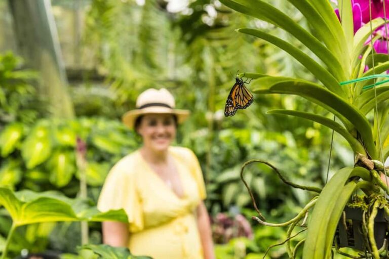Cairns: Cairns City Sights & Surrounds Half Day Tour - Final Thoughts: Is This Tour for You?