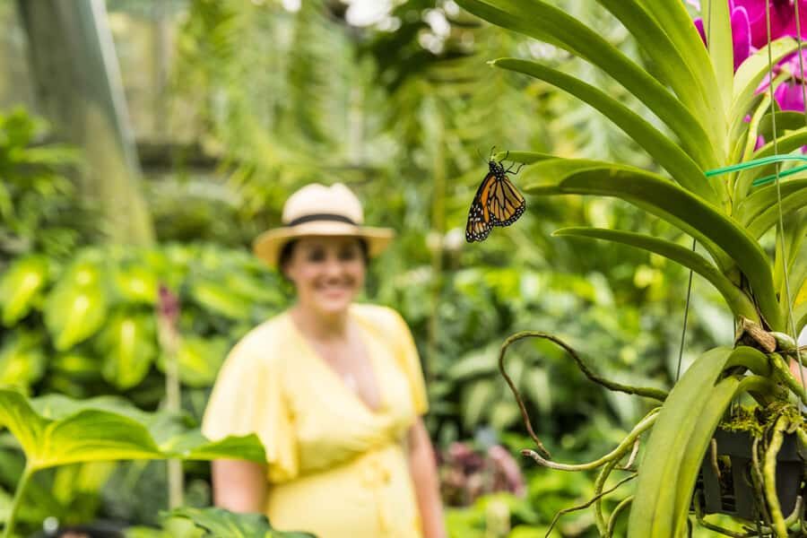 Cairns: Cairns City Sights & Surrounds Half Day Tour - Final Thoughts: Is This Tour for You?
